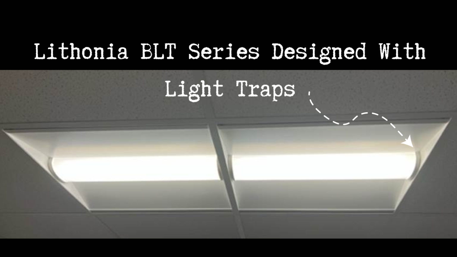 Insects In Troffer Lighting - Resource Lighting